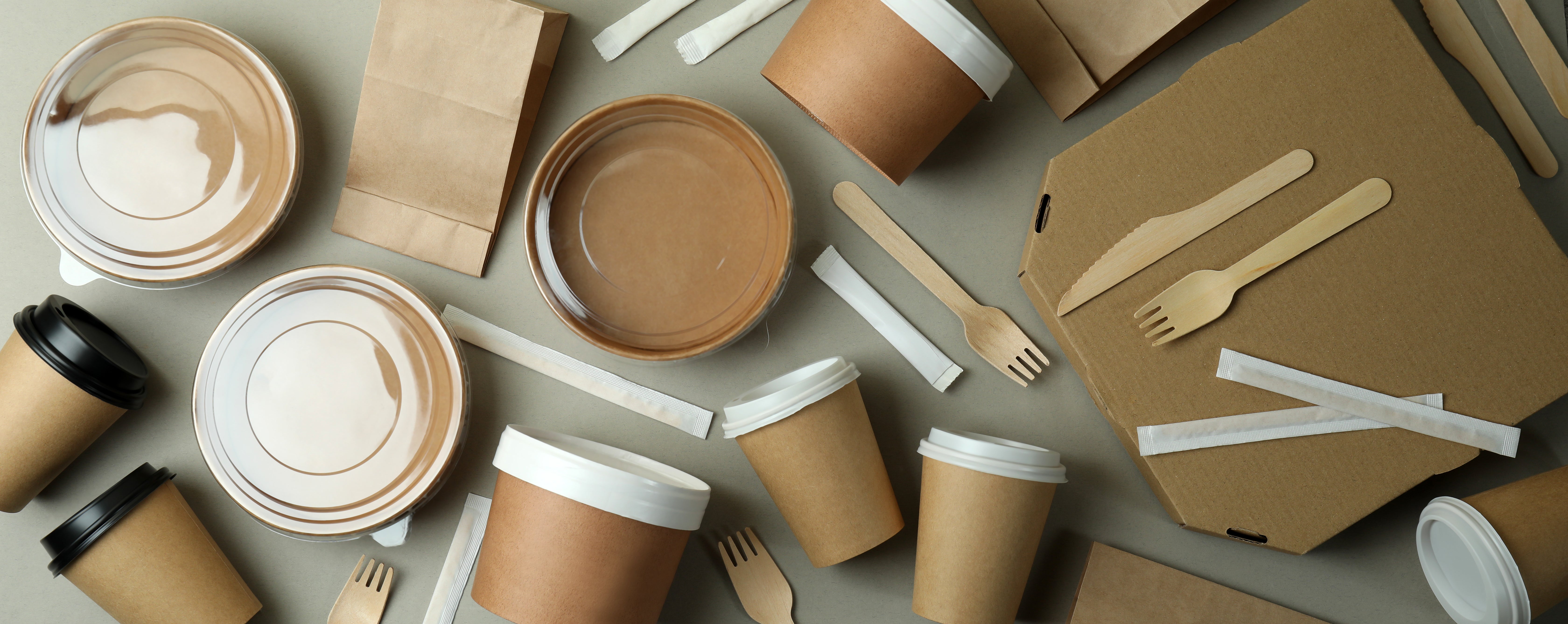 Going Green: How Eco-Friendly To-Go Containers Can Boost Your Restaura ...